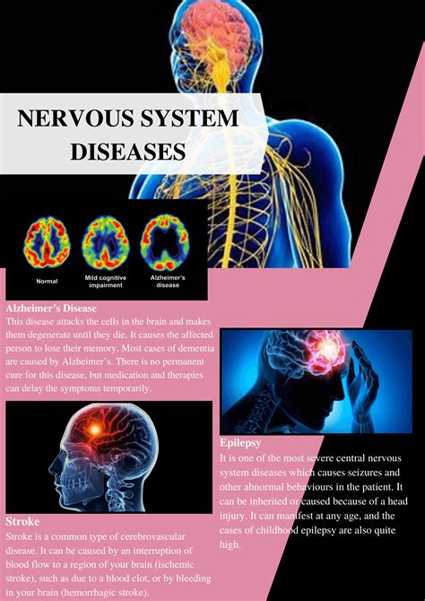 Nervous System Diseases And Disorders