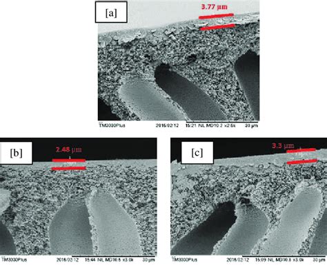Sem Micrographs Of The Cross Section Of The Membranes Prepared A Pure Download Scientific