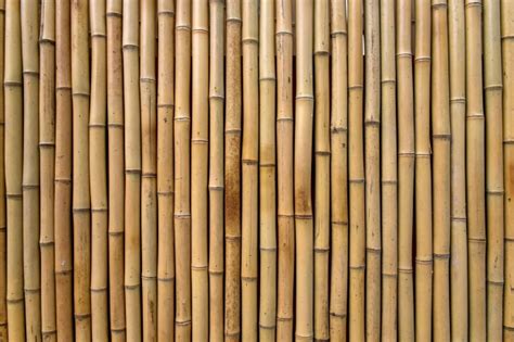 rbind in r combine vectors matrix or data frames by rows finnstats