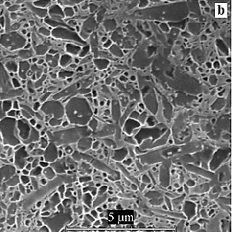 Microstructure Of Si3n4 Ceramics With 10 Wt Yag Sintered A 5 Min B Download Scientific