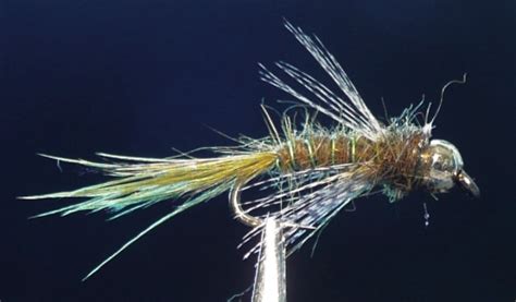 Assassin Fly Pattern Planettrout