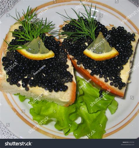 Osetrova Images, Stock Photos & Vectors | Shutterstock