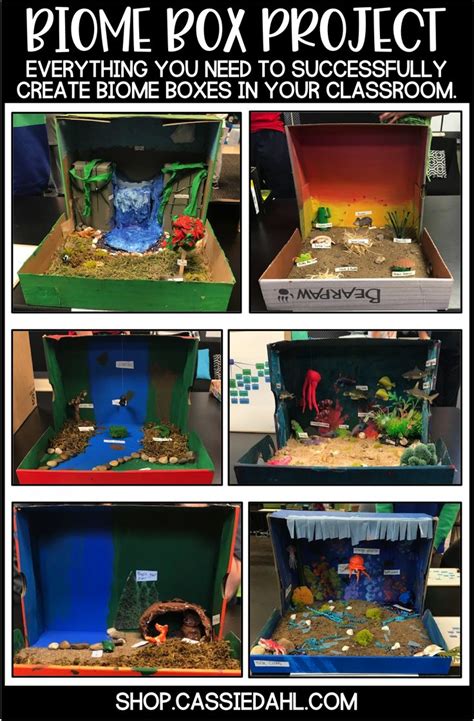 Biome Box Habitat Box Habitat Diorama 151 Habitats Projects