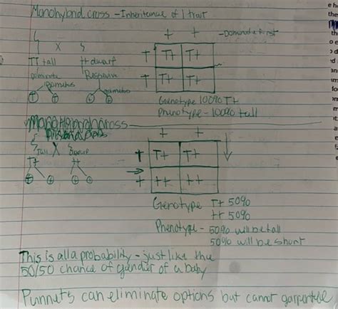 Bio Ch 11 Mendelian Inheritance Flashcards Quizlet