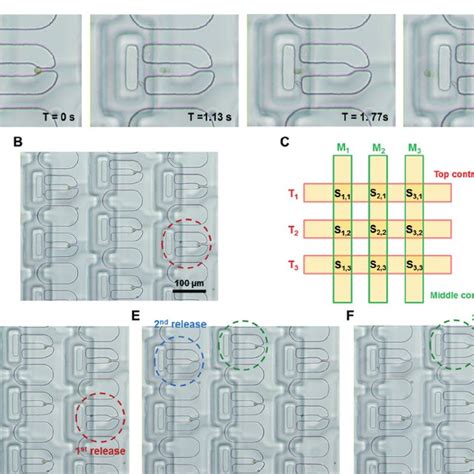 Operation Principle Of A Single Trapping Site And Selective Cell
