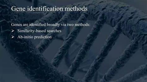 Transgenic Plants Gene Identification And Methodpptx
