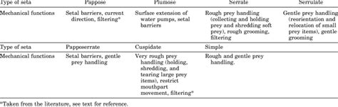 Summary Of The Mechanical Functions Of The Seven Types Of Seta Download Scientific Diagram