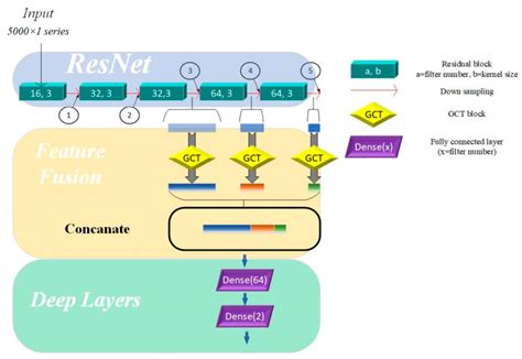Heart Sound Classification Based On Multi Scale Feature Fusion And