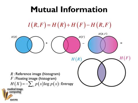 Ppt Automated Medical Image Registration Using Global And Conditional