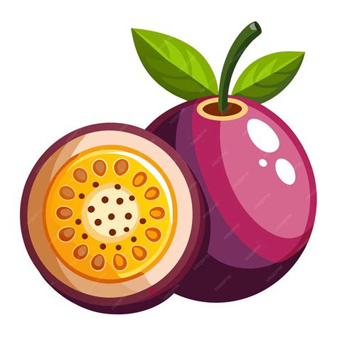Passion Fruit Vector Illustration Isolated On White Background