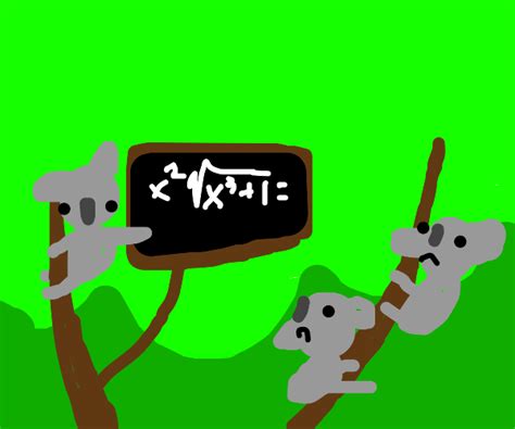 Koala Teacher Drawception