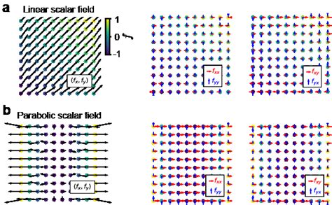 Output Of Gradient Filters A Scalar Valued Linear Function B Scalar Download Scientific