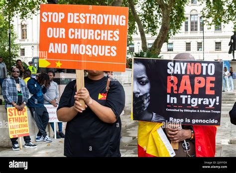 Protest Against The Actions Of Ethiopian And Eritrean Troops In Tigray With Alleged War Crimes
