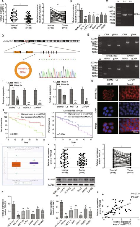 Retracted Article Runx3 Regulated Circrna Mettl3 Inhibits Colorectal