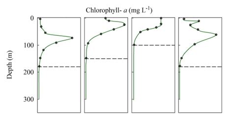 1 Conceptual Diagram Showing Vertical Profiles Of Chlorophyll A Download Scientific Diagram