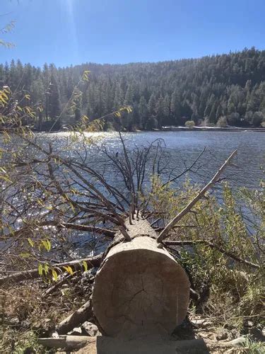 Best Hikes And Trails In Lake Gregory Regional Park Alltrails