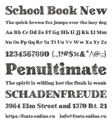 School Book New Font