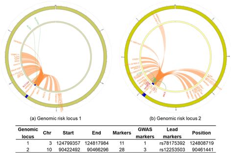 Circos Plots Of Chromatin Interactions And Eqtls Mapping For
