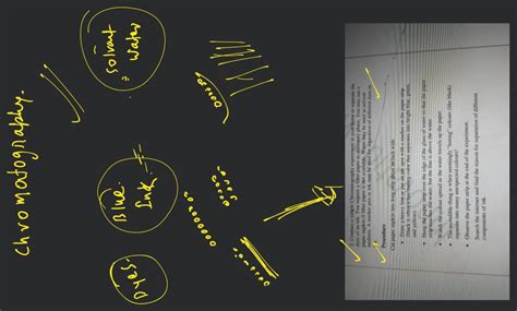 Conduct A Simple Chromatography Experiment In Your Home To Separate The D