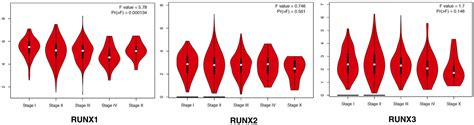 Frontiers Comprehensive Analysis of RUNX and TGF β Mediated Regulation of Immune Cell