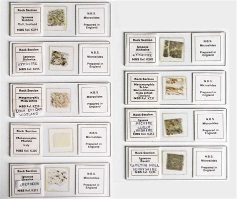 prepared slides standard microscope uk