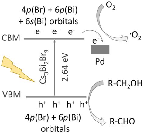 Fig S13 Schematic Illustration Of The Photocatalytic Ba Oxidation Download Scientific Diagram
