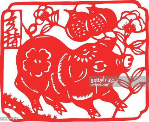 Cockroach Key Photos And Premium High Res Pictures Getty Images