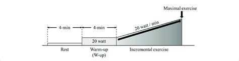Experimental Protocol Participants Performed Incremental Load Exercise