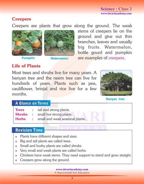 Ncert Solutions For Class 2 Science Chapter 1 Plants Around Us