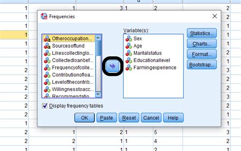How To Analyze Descriptive Statistics In Spss A Step By Step Guide Statisda