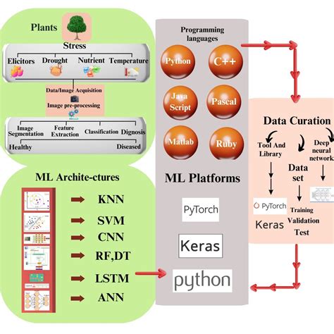 Machinelearning Deeplearning Ai Artificialintelligence Plants Bioticstress Abioticstress