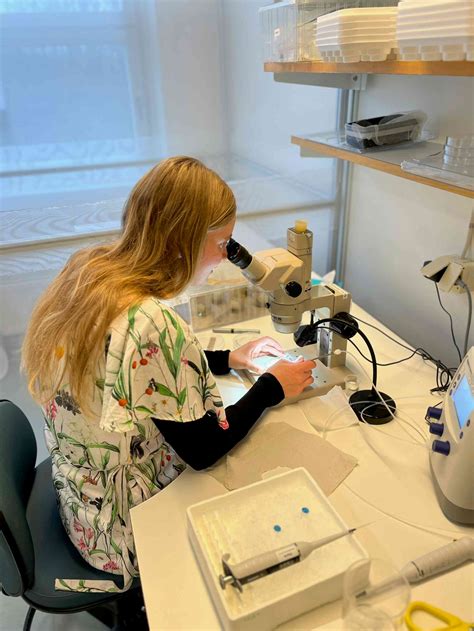 We Turned Off Moths Sex Signals This Could Be The…