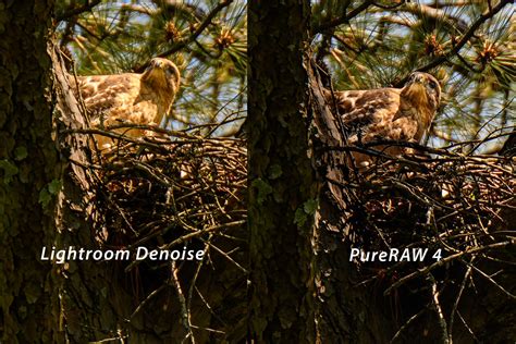 Nikon D4 Sports Camera Setting Storyteller