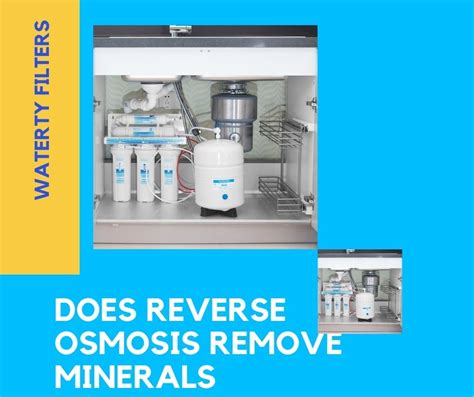 Does Reverse Osmosis Remove Minerals Secret Revealed