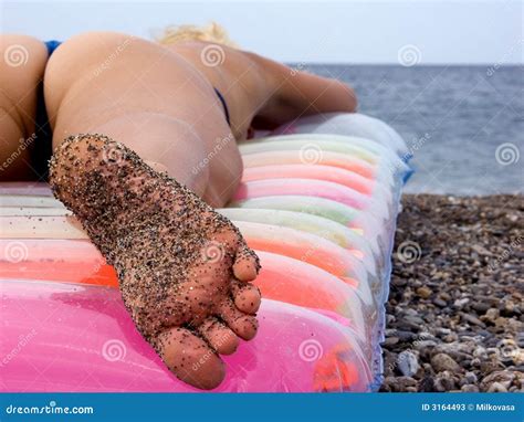 Sunbathing Stock Image Image Of Swimsuit Entertainment 3164493