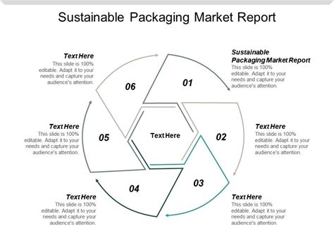 Sustainable Packaging Market Report Ppt Powerpoint Presentation Gallery Example Introduction Cpb