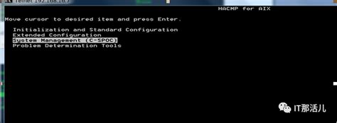 Aix Hacmp双机操作 墨天轮