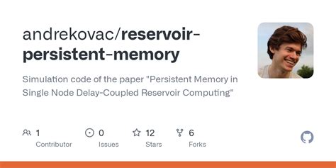 GitHub Andrekovac Reservoir Persistent Memory Simulation Code Of The Paper Persistent Memory