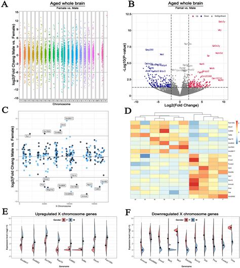 Frontiers Profiling X Chromosome Genes Expression Relevant To Sex Dimorphism In Stroke