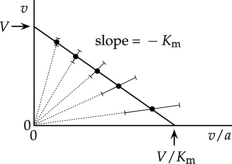 Biologyeadiehofstee Diagram Handwiki