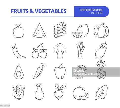 과일과 야채 관련 라인 벡터 아이콘 세트입니다 편집 가능한 획 멜론 사과 오렌지 유기농 토마토 오이 0명에 대한 스톡 벡터 아트