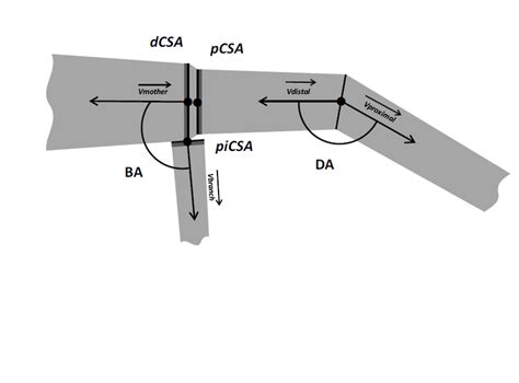 Diagram Of Connected Unit Segments Along A Digitised Root Axis Each Download Scientific