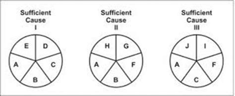 Block 3 Lecture 5 Causation Flashcards Quizlet