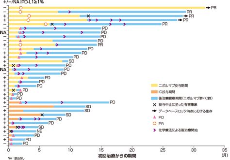 Checkmate 141 試験概要 Bms Oncology Checkmate 141 試験概要 Bms Oncology