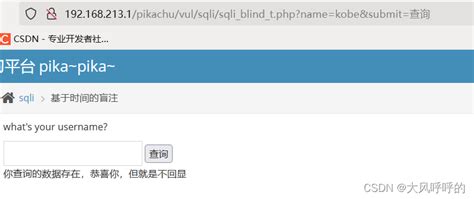 什么是sql注入漏洞，sql注入漏洞的流程 csdn博客