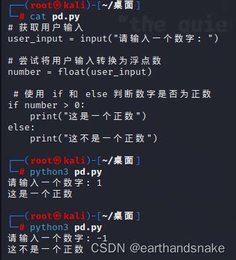 python3 if else demo 判断数字是否为正数 CSDN博客