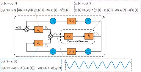 A Novel Multi Dynamic Coupled Neural Mass Model Of Ssvep