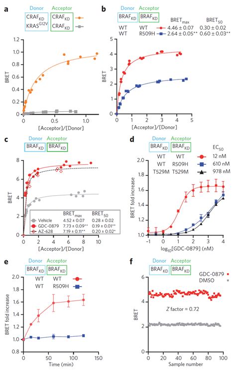 Development Of Bret Based Raf Dimerization Biosensors A Bret