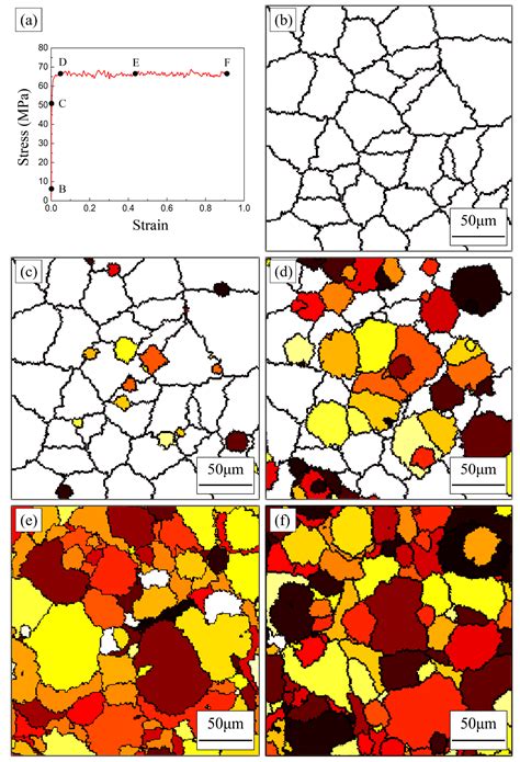 Investigation Of The Dynamic Recrystallization Of Femnsicrni Shape Memory Alloy Under Hot