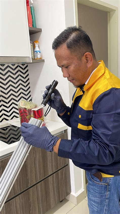 Pest Control Experts Malaysia Cleanhero